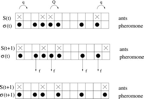 Figure 1 From A Cellular Automata Model Of Flow In Ant Trails Non Monotonic Variation Of Speed