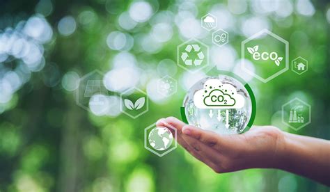 Iso 14067 Lead Verifier Cognicert Limited