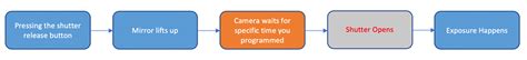 Difference Between Timer And Exposure Delay Vuegraphy