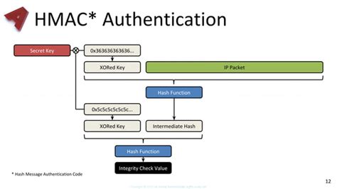 Ipsec Basics Ah And Esp Explained Pdf Computer Networking Computing