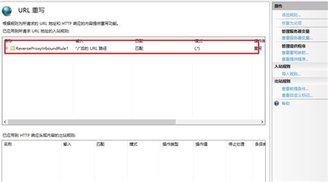 Iis反向代理配置 流年 丶