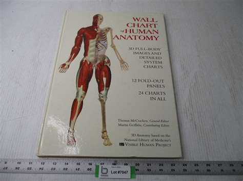 Wall Chart Of Human Anatomy Book Bodnarus Auctioneering