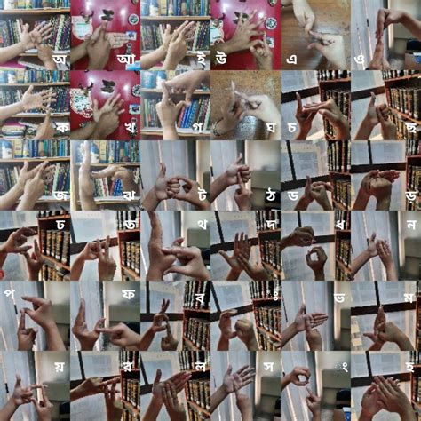 Bangladeshi Sign Language Dataset Kaggle