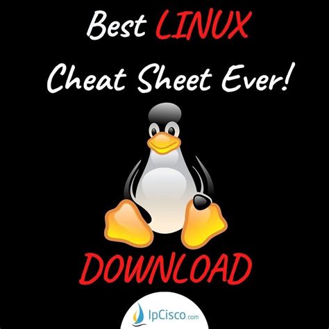 Linux Commands Cheat Sheet Ls Cd Dif Route Ping Chmod ⋆