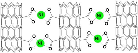 Schematic Of Cnt Decorated With Nickel Nanoparticles Download Scientific Diagram