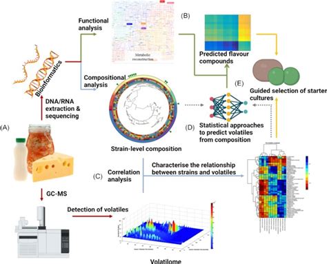 Integrated Molecular Approaches For Fermented Food Microbiome Research Abstract Europe Pmc