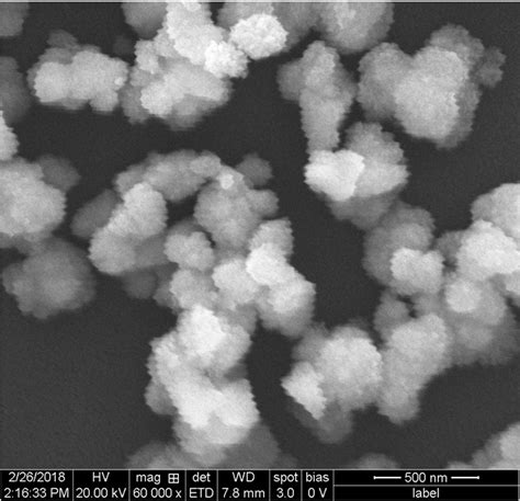 A Zno Seed Layer B Zno Growth Layer 110 Fig4c Shows Sem Image Of Download Scientific