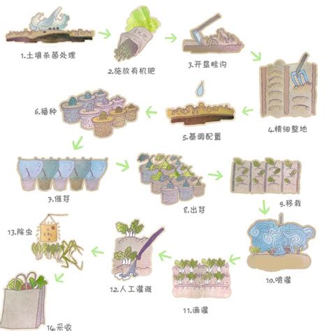 飞思农庄 种植流程