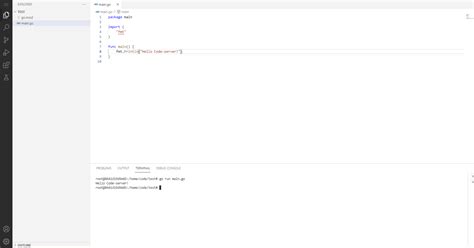在浏览器上开发go和vue！基于code Server Aaayi 博客园