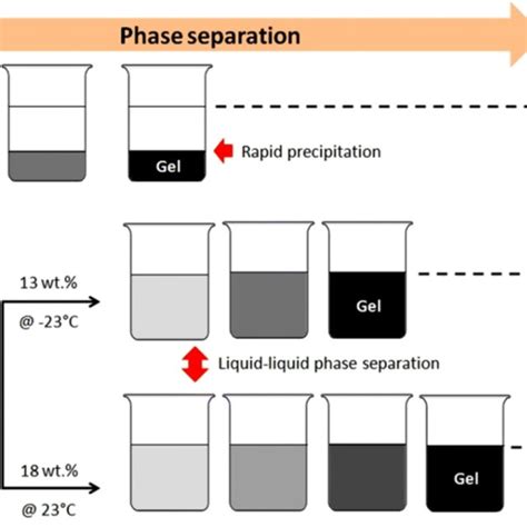 Three Fabrication Routes Based On Nonsolvent Induced Phase Separation
