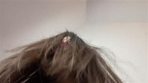 Mean Asian Wife Facesitting