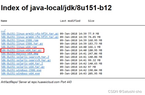 Linux Centos8 部署jdk服务8u151 B12和8u151 B12 Demos Csdn博客