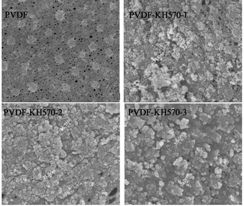 Method For Preparing Hydrophilic Modified Polyvinylidene Fluoride Membrane Eureka Patsnap