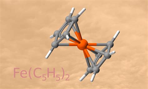 About The Foundation Wilkinson Foundation