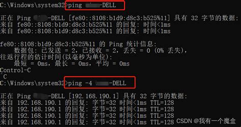 ping ping 功能与使用 用ipv4 ping csdn博客