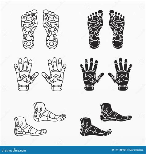 Variety Of Reflexology Treatment Set Stock Vector Illustration Of