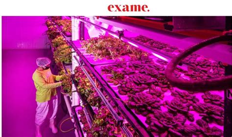 What Is The Impact Of Artificial Intelligence In The Agricultural