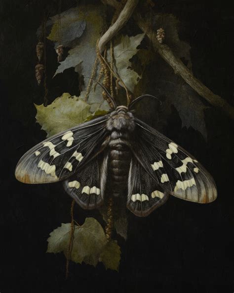 Dark Academia Room Decor Black Night Moth Gothic Moth Wall Art