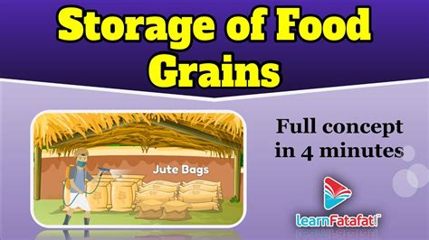 Storage Of Food Grains Class 8 Chapter 1 Crop Production And