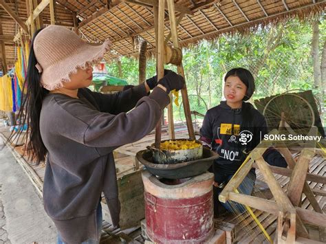 លើសពីរមណីយដ្ឋាន «ចម្ការស្នេហ៍ ជាកន្លែងជួយជំរុញការផលិត និងអភិរក្សហូលផាមួងខ្មែរ Thmey Thmey 25