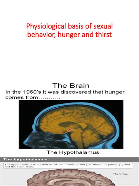 Module 2 Physiology Of Hunger Thirst And Sexual Behaviour Pdf