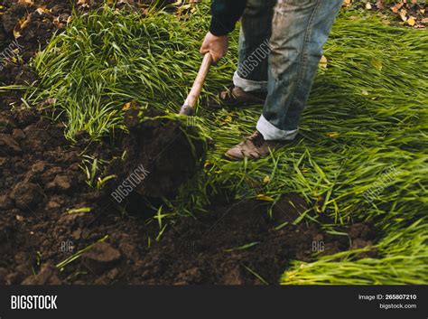 Man Digging Garden Image Photo Free Trial Bigstock