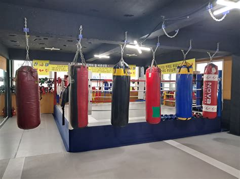 경주천마권투체육관 Band