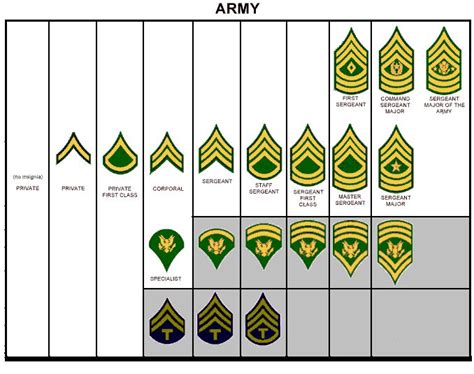 Army Rank Army Ranks Military Ranks Military Ranks Army