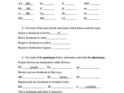 Genetic Problems Worksheet