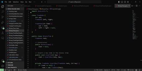 Vijesh Verma On Linkedin Day52 Placement Java Dsa Leetcodepeoblem