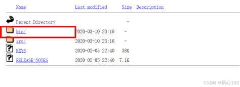 Linux中安装java和tomcat保姆级教程linux Java Csdn博客