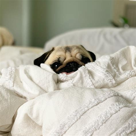 Just Displaying The Sexiest Of Sexy Legs 🍗 Rpugs