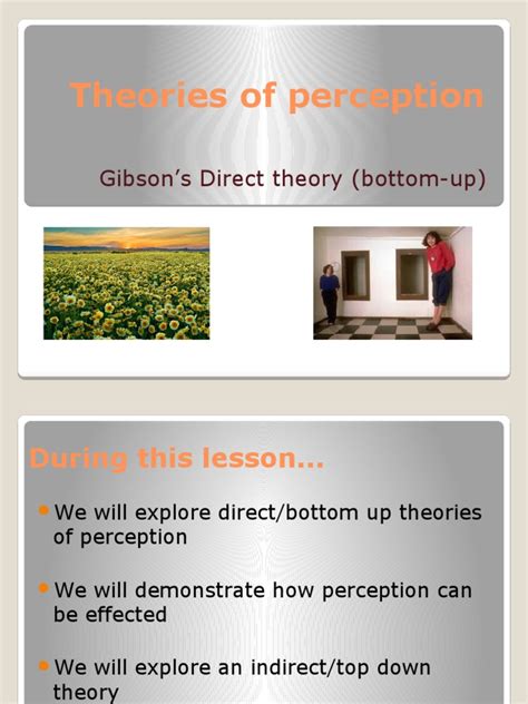 Gibsons Direct Theory Of Perception Explained Pdf Perception Optics