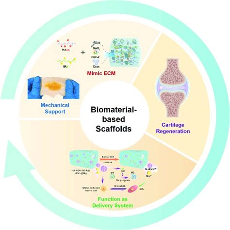 Schematic Illustration Of Biomaterial Based Scaffolds In Promotion Of Download Scientific
