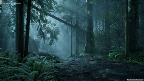 Forest Pack For Unreal Fantasy Landscape Environment Concept Art Forest