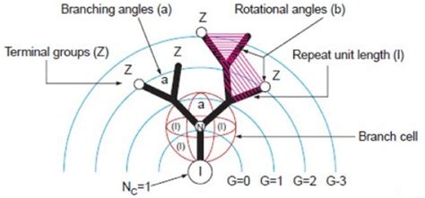 New Multi Dendrimer Platforms For Supramolecular Assembly
