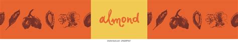 Almond Frames Banner Background Label Template Stock Vector Royalty