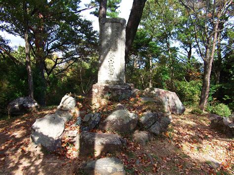 茨木市鉢伏山 涼のハイキングコースや山行記録