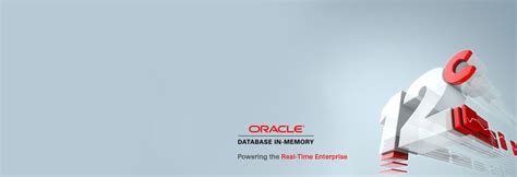 Infographic Powering The Real Time Enterprise