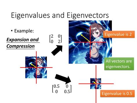 Eigenvalues And Eigenvectors Ppt Download