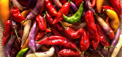 Ajíes Peruanos Variedades Usos Y Legado Culinario