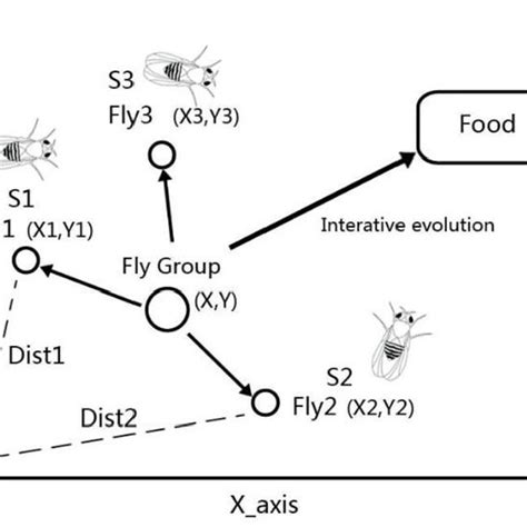 Illustration Of The Fruit Fly Optimization Algorithm Foa Download Scientific Diagram