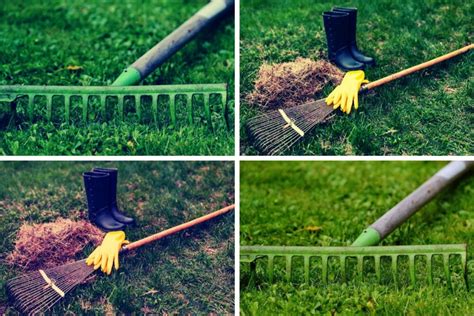 How To Dethatch A Lawn Get Your Lawn Ready For Summer