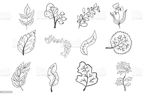낙서 손으로 그린 나뭇잎 단풍 흰색 배경에 격리된 귀여운 우아한 미적 식물 테두리 디자인 요소 스케치 드로잉 벡터 그림 가을에 대한 스톡 벡터 아트 및 기타 이미지 Istock