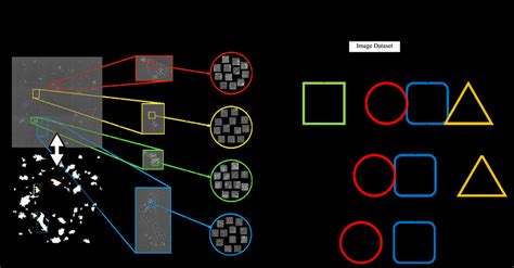 Data Preprocessing And Classification Schematic The Binary Map Of