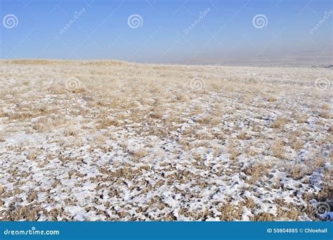 Winter Grassland In Inner Mongolia Stock Image Image Of Climate Colors 50804885