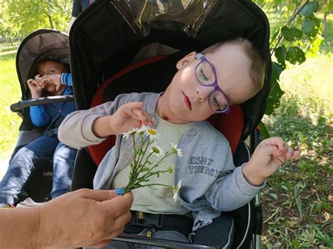 Лето в детском садике — Елизаветинский сад
