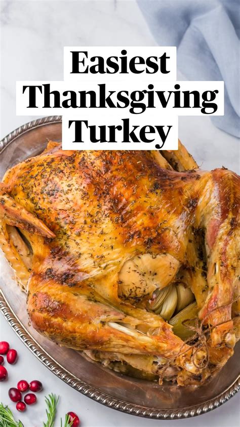 Cooking A Turkey With A Convection Oven At Jackson Ribush Blog