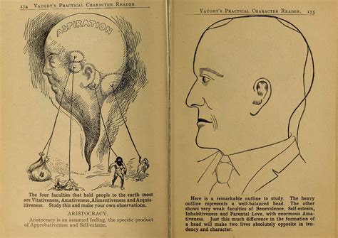 This 1902 Phrenology Handbook Is Bonkers Chinese Face Reading