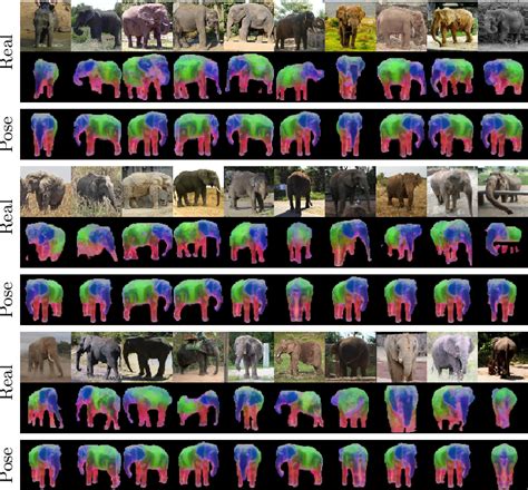 Figure 12 From Learning 3d Aware Gans From Unposed Images With Template